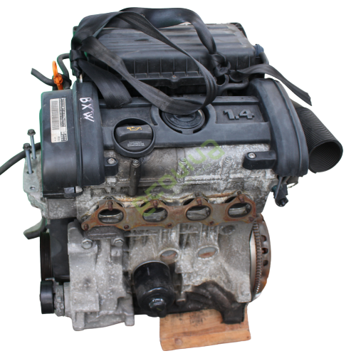 Motore Seat Ibiza BXW dal 2006 1.4 benzina - Ecoviva