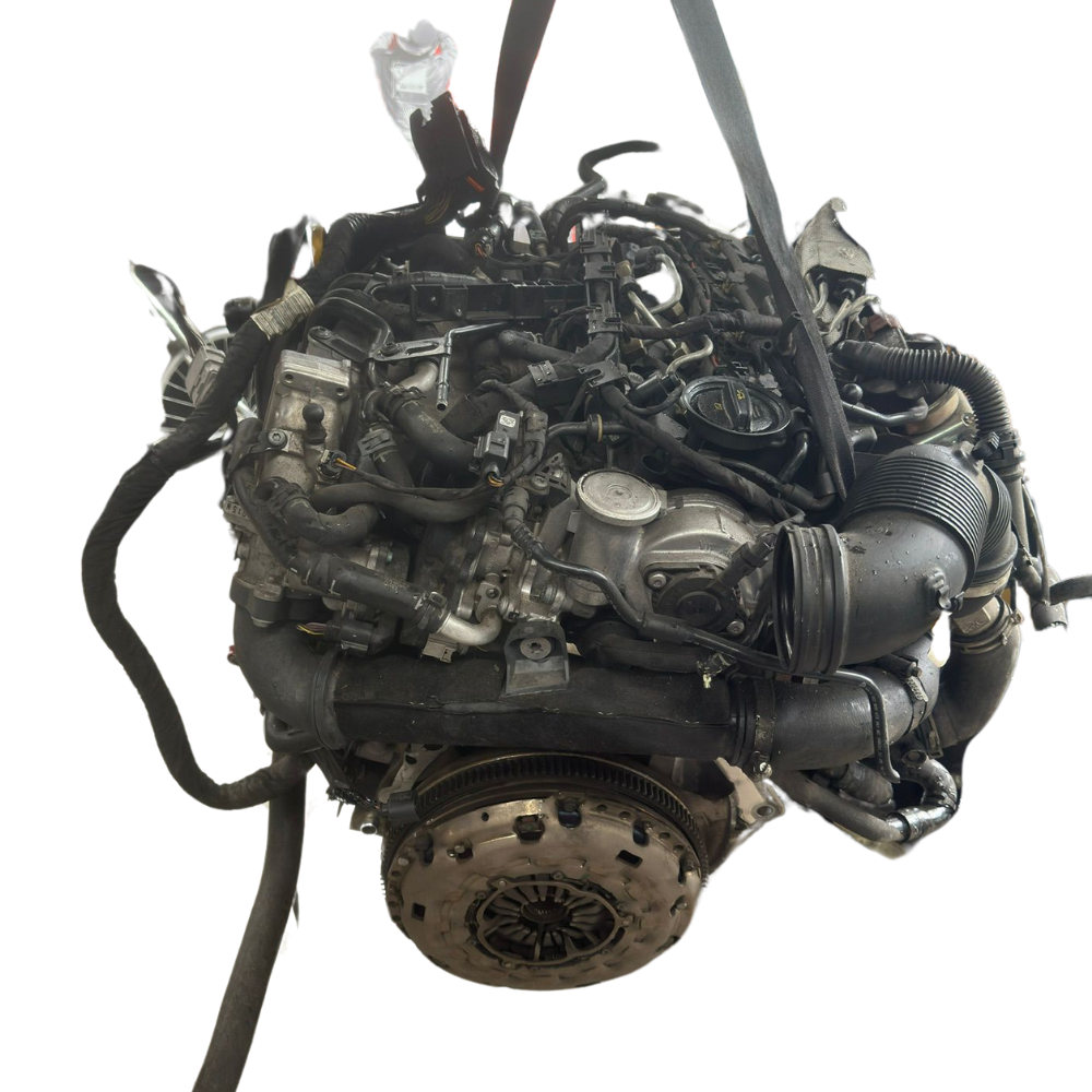 Motore Audi/Volkswagen Golf V BXE 2005 1.9 diesel - Ecoviva